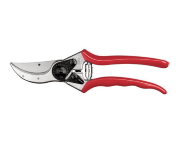 Najlepšie záhradné nožnice na konáre podľa recenzií a testov (2026 ...